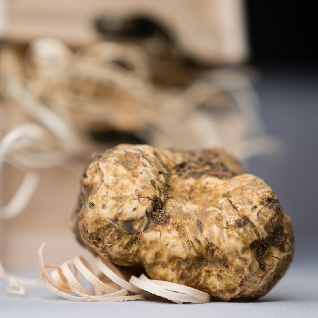 Fresh Truffles – Truffle Shuffle